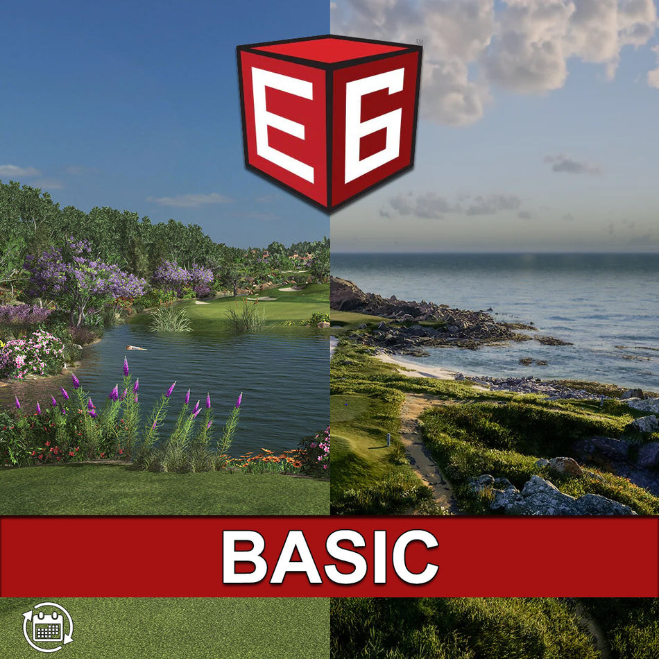 E6 Basic - Annual Subscription – Par2Pro